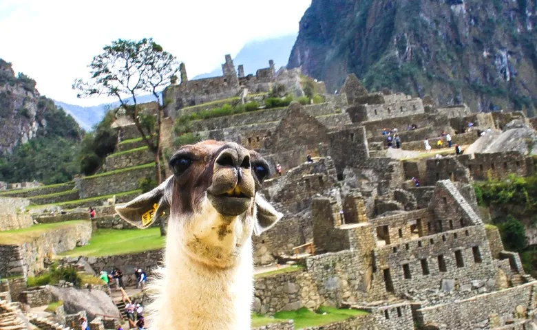 TOP 3 General Quechua Courses for Adults in Peru. Compare