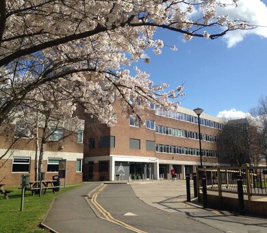 34 Best Oxford Language Schools - English Courses | 146 Reviews