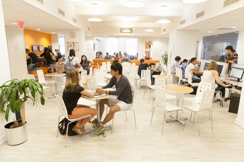 EC English New York Language School USA | 5 Reviews