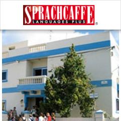 36 Best English Language Schools in Malta 2022 Course Ranking | 1870 Reviews