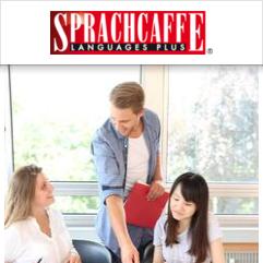 25 Best Spanish Language Schools in Malaga 2022 Course Ranking | 232 ...