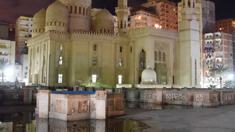 Ahlan-Egypt Alexandria Language School Egypt | 30 Reviews