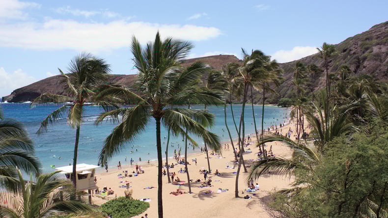 EF International Language Center Honolulu | Pay Less