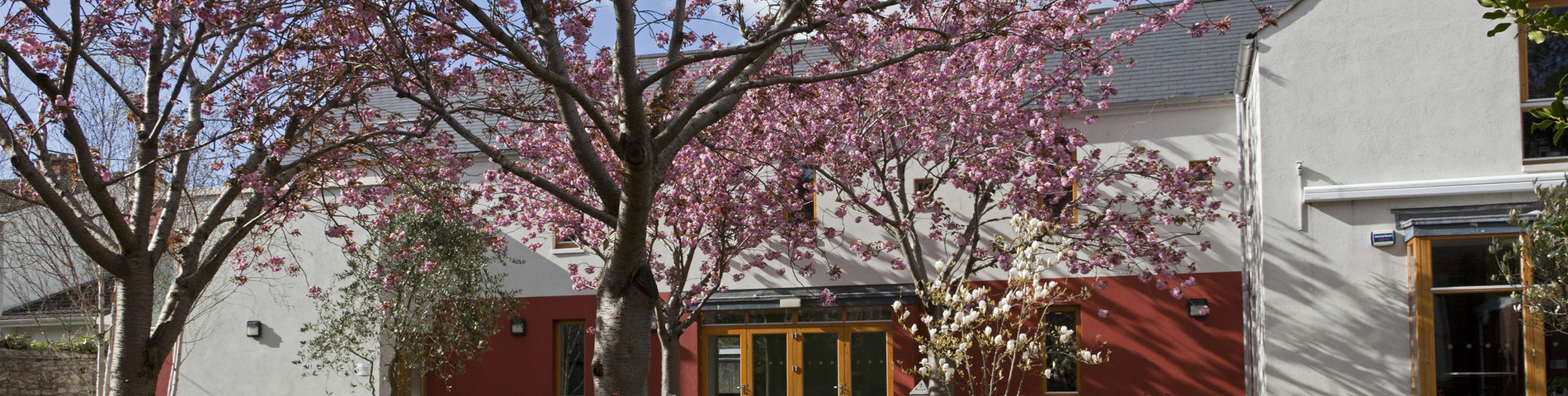 Emerald Cultural Institute Dublin Language School | Reviews